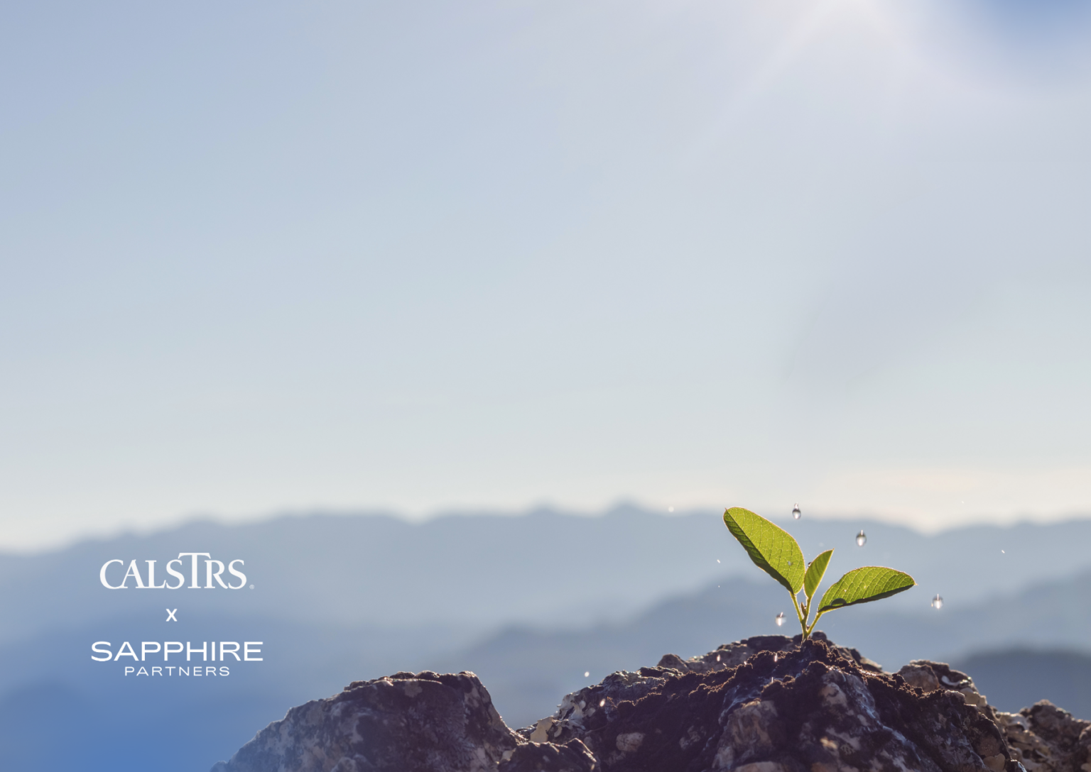 Celebrating What’s New and Next | Sapphire Partners